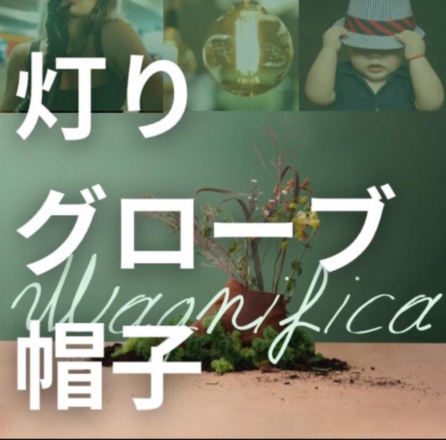 Magnalのネットショッピング・通販はau PAY マーケット