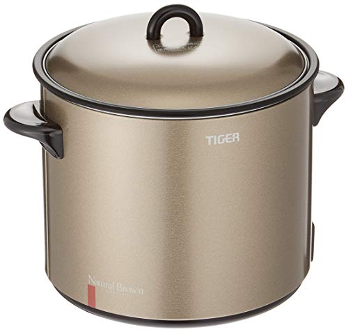 タイガー 電気フライヤー「はやあげ」CFE-A100-T