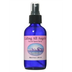 コンビネーションフォーミュラ スプレー コーリングオールエンジェルズ(120ml)[その他]