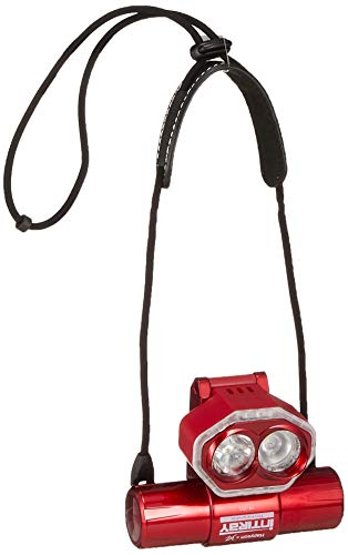 ハピソン(Hapyson) 充電式チェストライト レッド YF-201-R