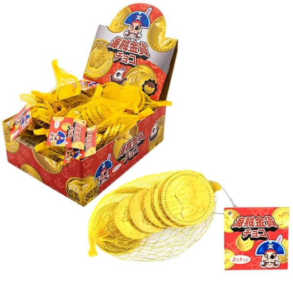 やおきん ネット海賊金貨チョコ 35g×48入（24×2）