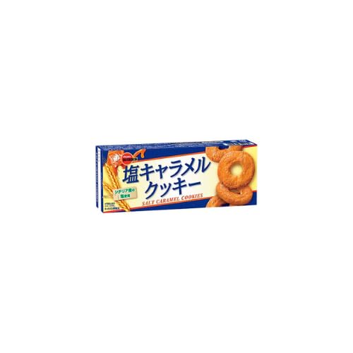 ブルボン 塩キャラメルクッキー 48 個セット ENTERACT おまけ付き