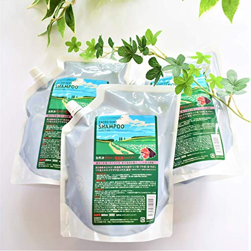 サニープレイス ザクロ精炭酸シャンプー 800ml 詰め替え用 3本セット