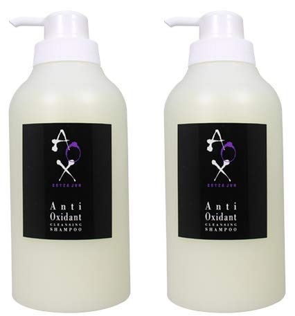 リアル オリザジュン ＡＯＸシャンプー800ｍL 【お得な2本セット】