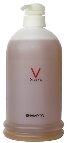 ディバイン ナノ シャンプーV 1000ml