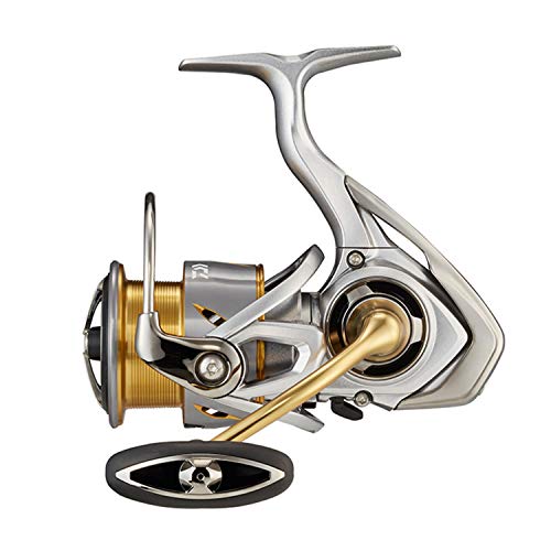 ダイワ(DAIWA) 21 フリームス LT3000-XH