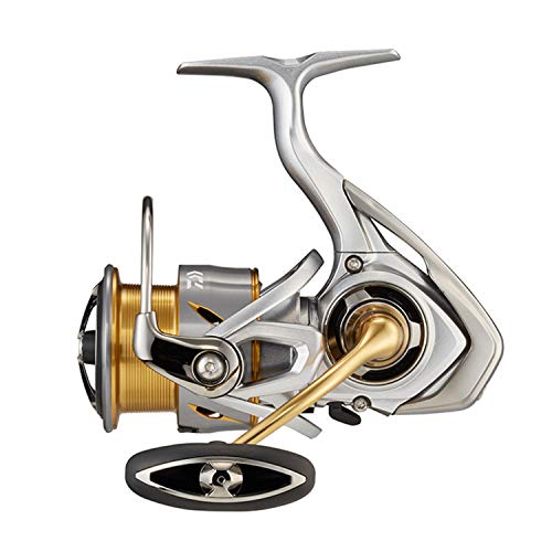 ダイワ(DAIWA) 21 フリームス LT3000