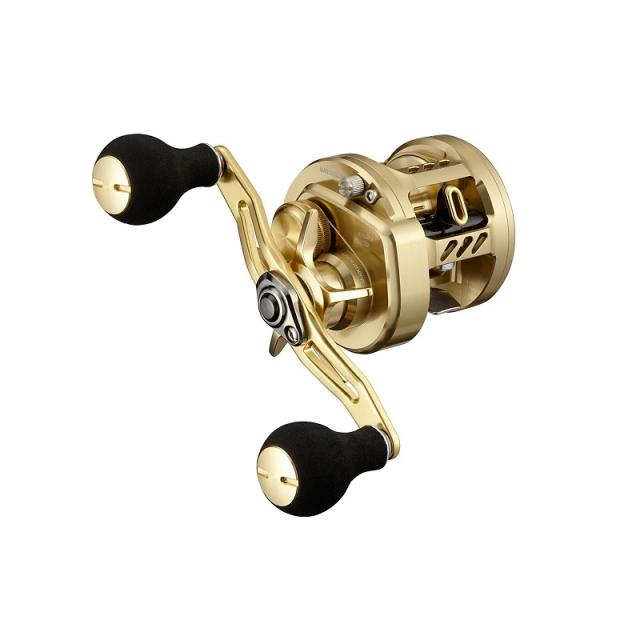 ダイワ 21バサラ 100 / 右ハンドル