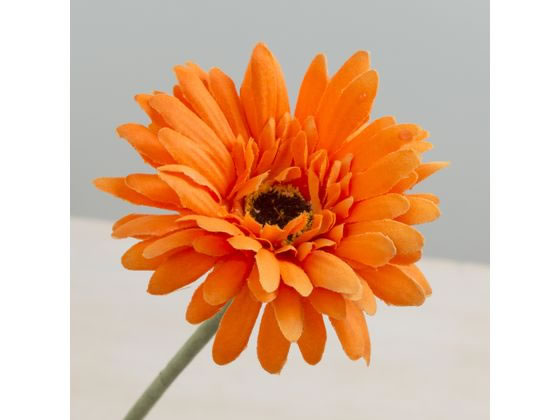 YDM/造花 シングル ガーベラ オレンジ YDM（横浜ディスプレイミュージアム） FF2635-ORの通販はau PAY マーケット - 西新オレンジストア | au PAY マーケット－通販サイト