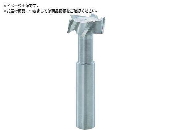 FKD/Tスロットエンドミル24×7 TSE24X7の通販はau PAY マーケット - 西新オレンジストア | au PAY マーケット－通販サイト