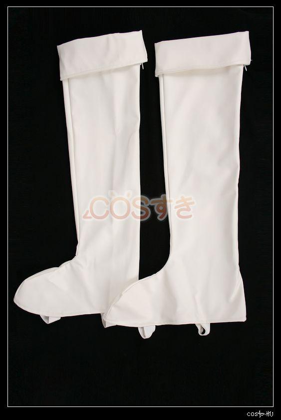 送料無料 VOCALOID ボーカロイド 初音ミク FateRebirth Fate-運命の扉