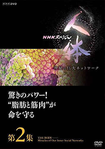 NHKスペシャル 人体 神秘の巨大ネットワーク 第2集 驚きのパワー! 脂肪と筋肉が命を守る [DVD](中古品)