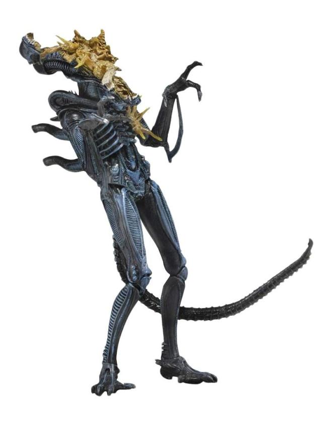 NECA - Aliens 7 scale action figure - Series 12 Xenomo(中古品)
