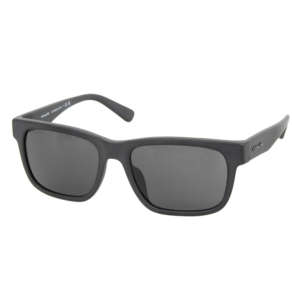 コーチ 小物 メンズ サングラス アウトレット ブラック L1161BGG COACH