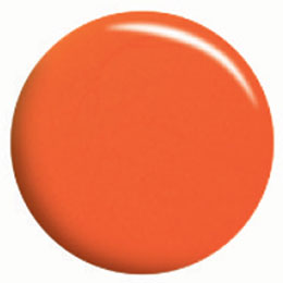 Calgel(カルジェル)　カラージェル　10g　サマーオレンジ