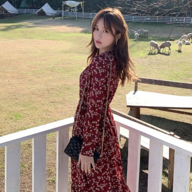 ワンピース ワンピドレス 膝下 ロング ロング丈 袖あり 長袖 Vネック 襟なし Aライン シフォン ポリエステル かわいい 大人可愛い きれいめ シンプル カジュアル 大人 上品 おしゃれ お洒落 アジアン エスニック 大人女子 ラフ とろみ感 柄 小花柄 春 秋 冬 誕生日 10代 20代