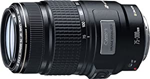 Canon EF 75-300mm F4-5.6 IS USM(中古品)