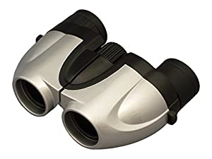 PIXY 双眼鏡 PIXY 10x21 ポロプリズム式 10倍 21口径 シルバー 000214(中古品)