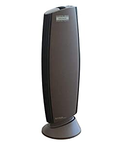 IonicBreeze(イオニックブリーズ)/GRANDE カフェモカ 消臭 ロングセラー 集塵 静か 花粉 高性能 広範囲 フィルターレス エコ ハ