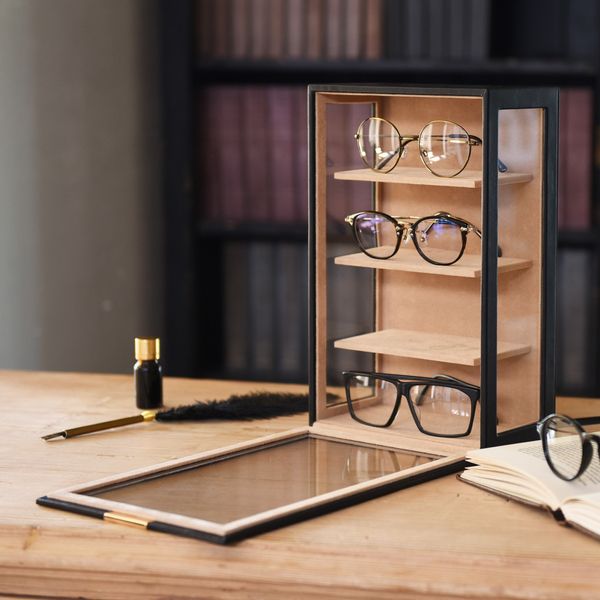 メガネケース メガネ 老眼鏡 健康 メンズアイテム Elementum メガネ