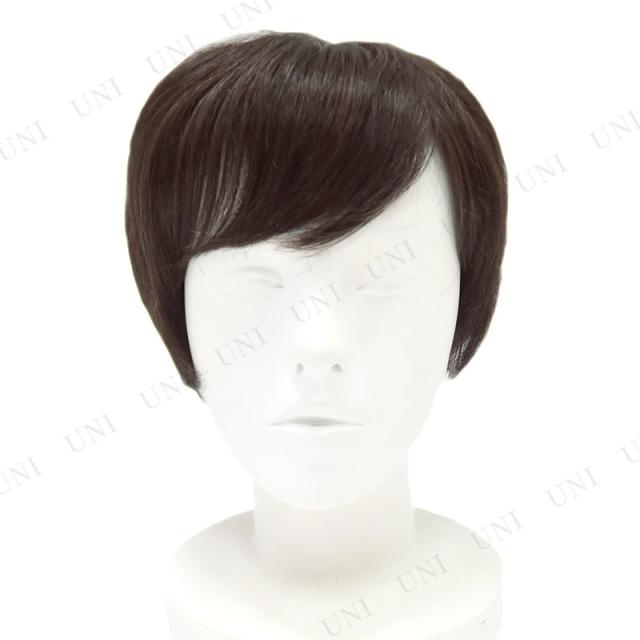 ソフティウィッグB 【 かつら レディース 自然 女性用 ファッションウィッグ 】