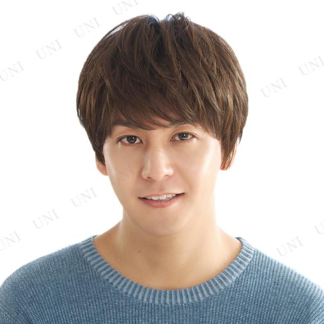 スタイリッシュショート ショコラブラウン 【 フルウィッグ 自然 ファッションウィッグ コスプレ かつら 男性用 メンズ 】