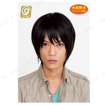 ストレートショート スタンダート BL 【 かつら 女性用 ファッションウィッグ 自然 レディース フルウィッグ 】