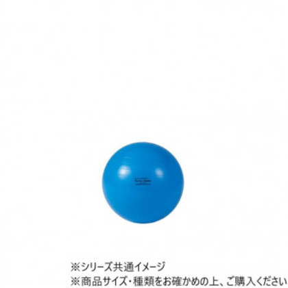 ダンノ(DANNO) ギムニク カラーボール 65 D5432 |b03