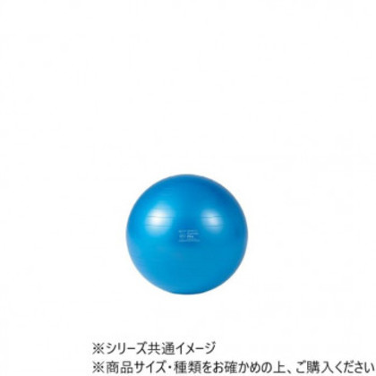 ダンノ(DANNO) ギムニクカラーボールPLUS 65(ブルー) D5422B |b03