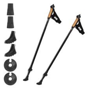 ノルディックポール 2本セット TR3004