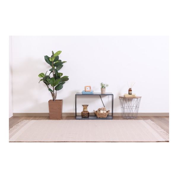 EZBOワイヤーラック2段 約60cm幅 ダークグレー 組立品 送料無料の通販はau PAY マーケット - 株式会社夢の小屋 | au PAY マーケット－通販サイト