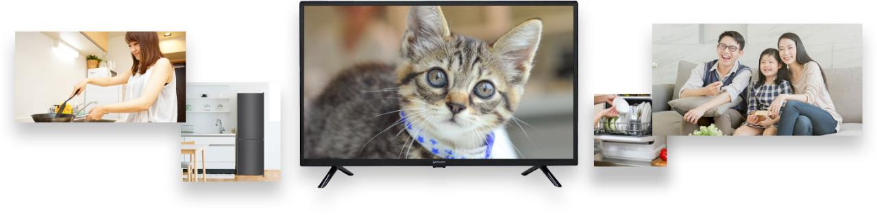 MAXZEN(マクスゼン)特集 | XPRICE auPAYマーケット店