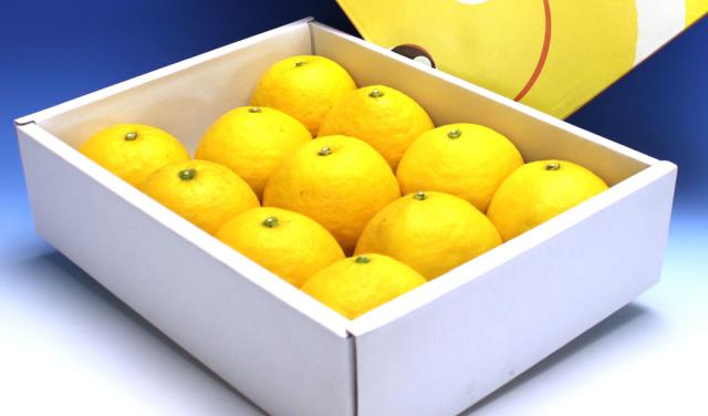 宮崎産 日向夏 露地物 秀品 2.5kg 10～12玉 送料無料 ひゅうがなつ 柑橘 フルーツ くだもの 果物 ギフトの通販はau PAY マーケット - G-Call 食通の定番 お取り寄せ ...