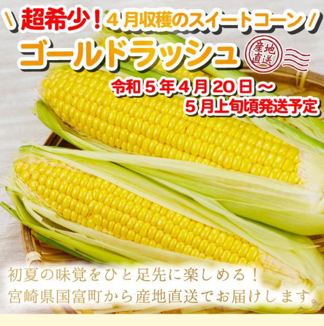 【4月下旬より発送予定・日付指定不可】 宮崎県産スイートコーン ゴールドラッシュ4.5Kg（2Lサイズ約13本）超希少な4月収穫のスイートコの通販はau PAY マーケット - 宮崎産直｜商品 ...