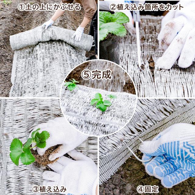 アストロ シート 20M ホワイト 敷きわら風 畑 乾燥防止 保温効果 害虫除け 家庭菜園 ガーデニング 530-10の通販はau PAY マーケット - アストロ Official Shop ...