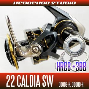 【ダイワ】22カルディアSW 6000S-H, 6000D-H用 MAX9BB フルベアリングチューニングキット HRCB防錆ベアリングの通販 ...