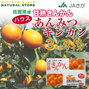 [最短順次発送] あんみつ姫 金柑 3kg 2L 3L 4Lサイズ 佐賀県産 あんみつ金柑 きんかんの通販はau PAY マーケット - サロンドフルーツ au PAY マーケット店｜商品 ...