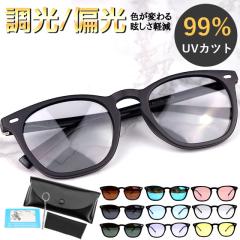 ストームライダー 偏光グラス SR-009-P スポーツカーブタイプ2 M