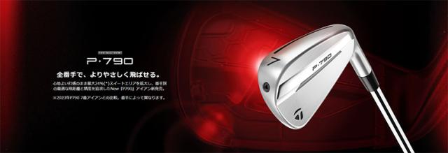 テーラーメイド P790 ('25) アイアン単品 N.S.PRO MODUS3 TOUR105 スチールシャフト【即納】