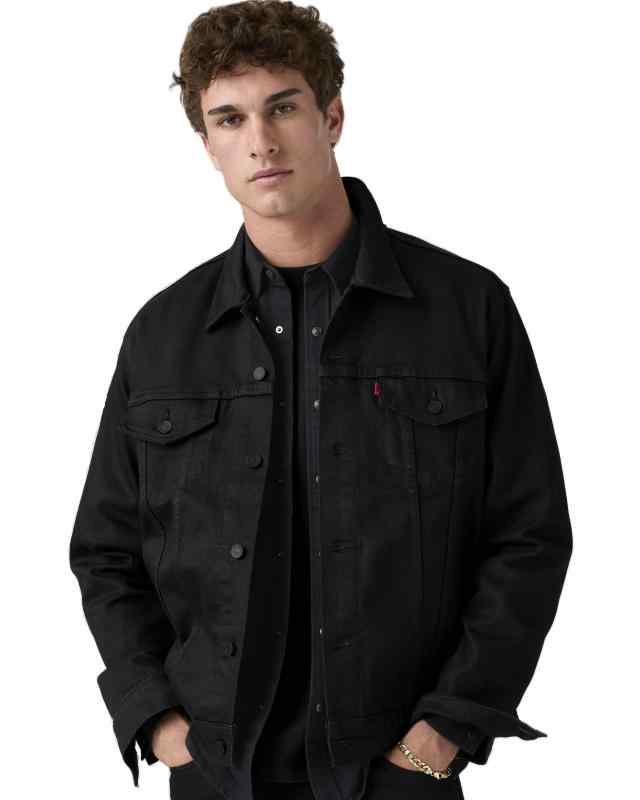 [リーバイス] デニムジャケット TYPE？ トラッカージャケット メンズ 72334 (L, 72334-0403 DARK HORSE)