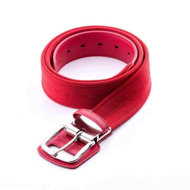 [コアエナジー] ？ 野球ベルト プロ野球選手 愛用 CoreEnergy 体幹サポート (Free Size, レッド)