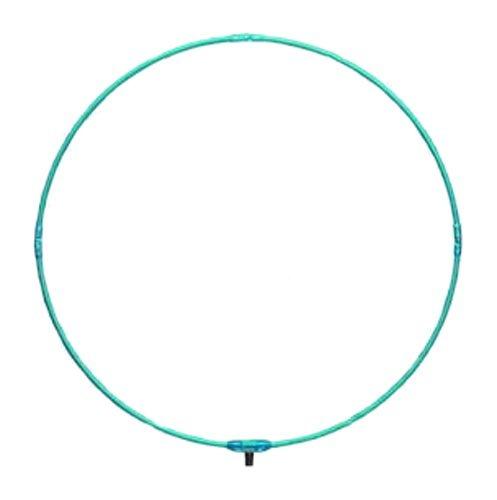 昌栄 (SIYOUEI) ウルトラフレーム極 VerII (ブルー, 40cm)