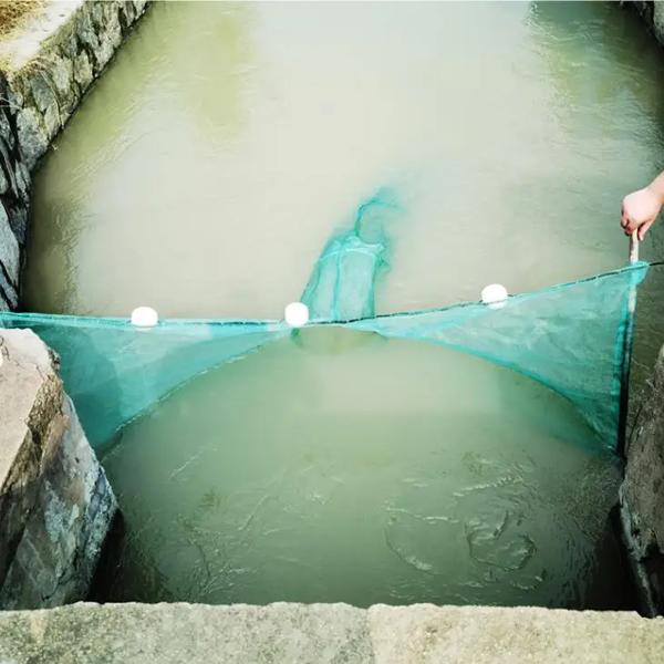 折りたたみ式自動投げ刺し網漁網カニロブスターエビミノー釣り餌