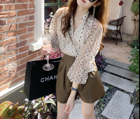 トップス 袖あり  シフォン 透け感 シースルー 薄手 かわいい 大人可愛い きれいめ シンプル カジュアル 大人 上品 おしゃれ お洒落 かっこいい 大人可愛い 大人女子 こなれ感 メンズライク マニッシュ ラブリー キュート ガーリー クール モード系 ドット 春 夏 誕生日