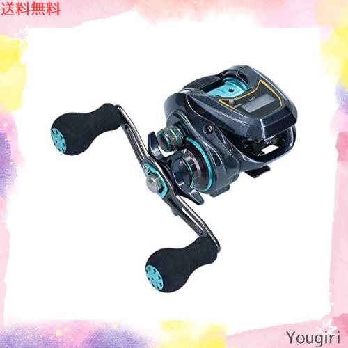 ダイワ(DAIWA) LIGHT SW X IC SS R カウンター付ベイトリール