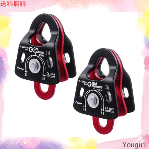 GM CLIMBING 40kN マイクロダブルプーリー CE UIAA認証 ボールベアリング 倍力システム プーリーシステム クライミング リギング レスキ