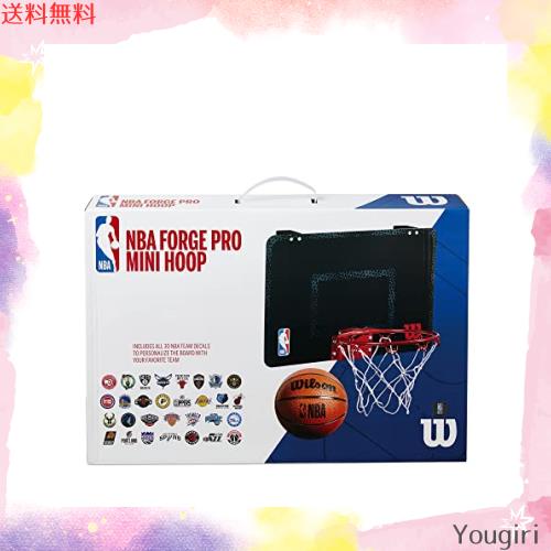 Wilson(ウイルソン) バスケットボール用ゴール NBA FORGE TEAM MINI HOOP (NBA フォージ チーム ミニ フープ) ゴール高さ27.9cm×幅45.7c