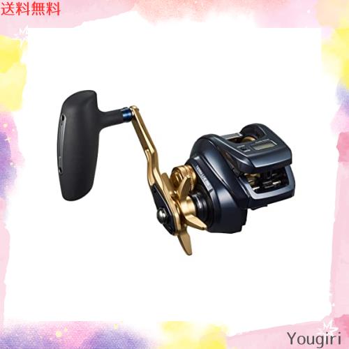 ダイワ(DAIWA) カウンター付キベイトリール ティエラLJ IC200