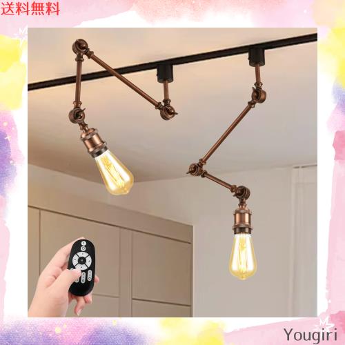 ANWIO ダクトレールライト 2個セット E26口金 600LM 消費電力6W（60W形相当） 角度調節自由 LED電球付き リモコン付き 調光 調色 ロング