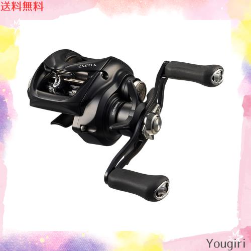 ダイワ(DAIWA) ベイトリール 24TATULA TW 100HL